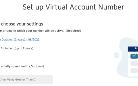 如何通过SubscribeStar订阅与赞助？国内支付与虚拟卡解决方案 | Lewali博客